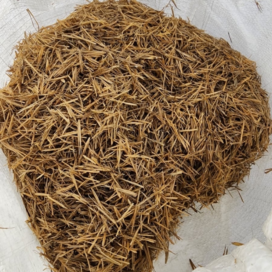 Organic Wild Rice Hulls - Pre-Order